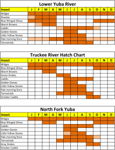 Hatch Chart – Reel Anglers Fly Shop